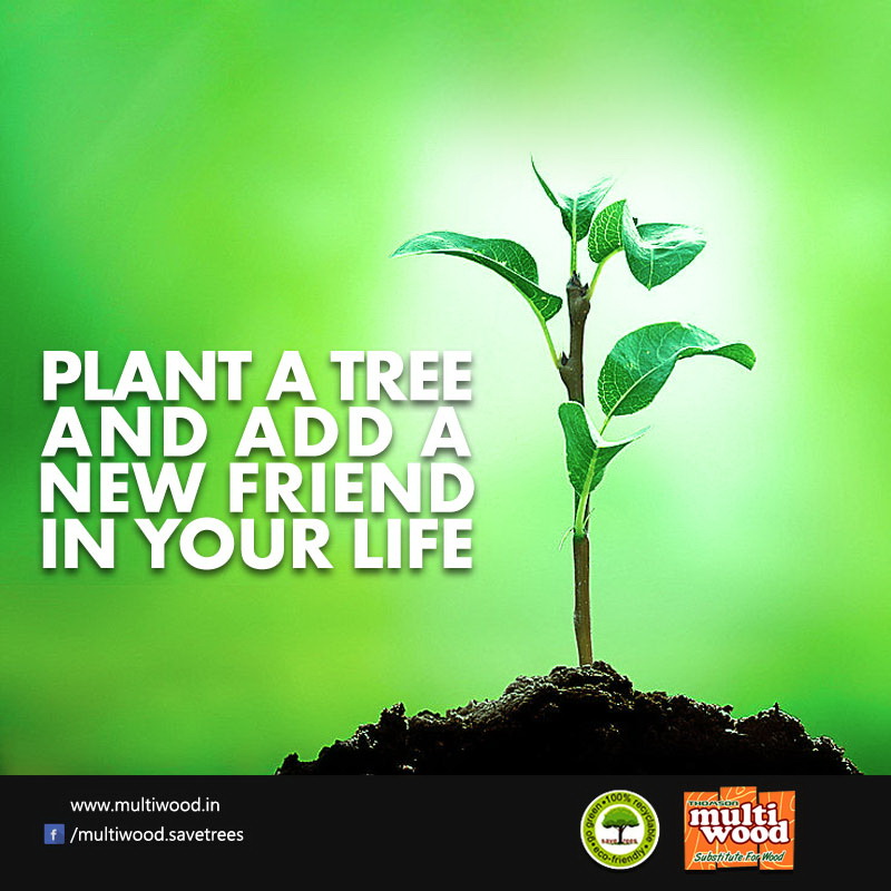 Importance Of Trees Save Trees