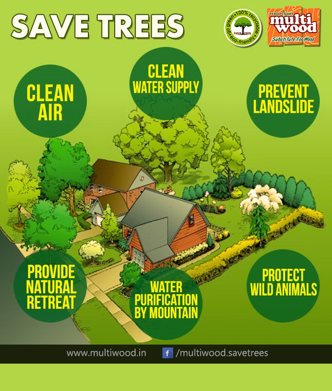 Importance Of Trees Save Trees